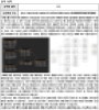 한국디지털미디어고등학교 디미고 효율적인 입시 공략 네이버 블로그